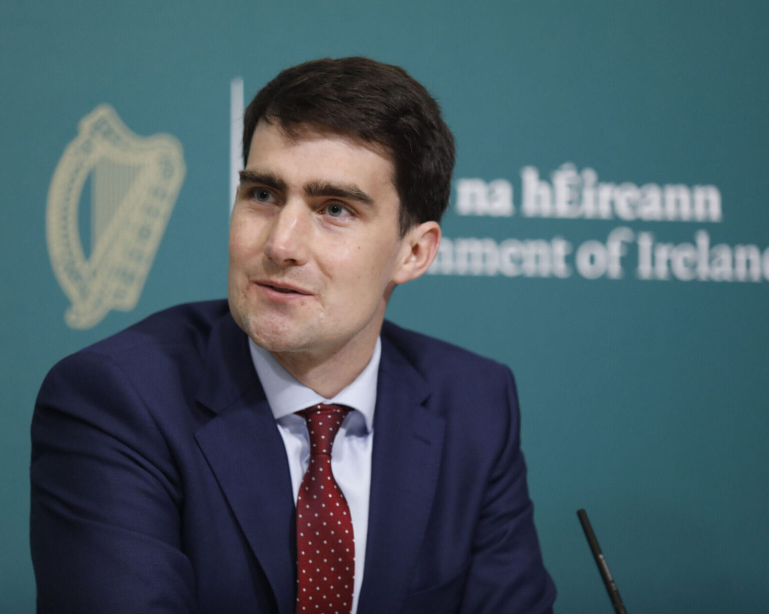 Fianna Fáil has a new prince. Ireland has a new finance minister. And ...